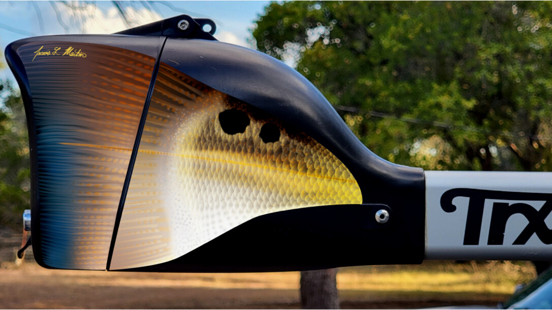 Artist Series Fish Skins – Trxstle