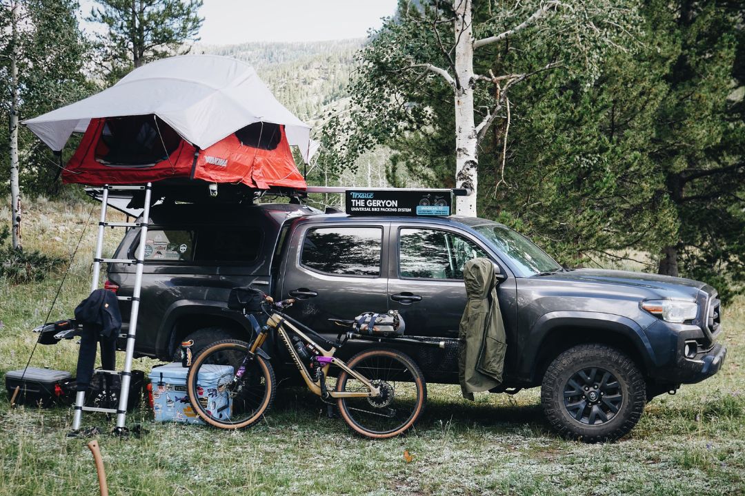 Trxstle | Partner Brands Collection