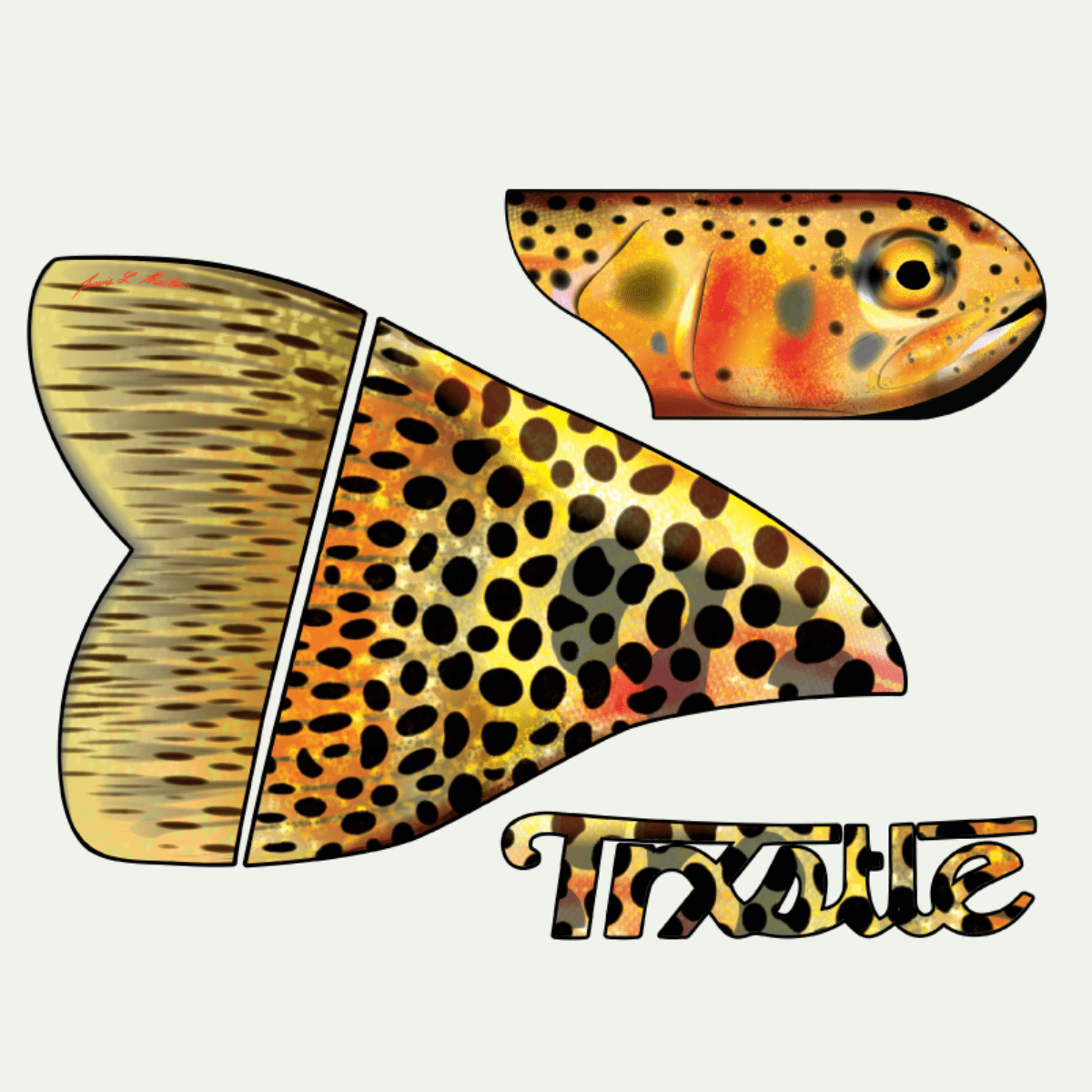 Artist Series Fish Skins#N# – Trxstle